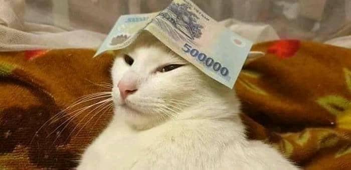Tải ngay 90+ ảnh meme tiền cực kỳ hài hước, dí dỏm