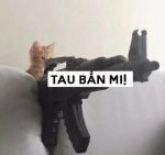 Bộ sưu tập 999+ hình ảnh meme chửi gây cười nhất mọi thời đại