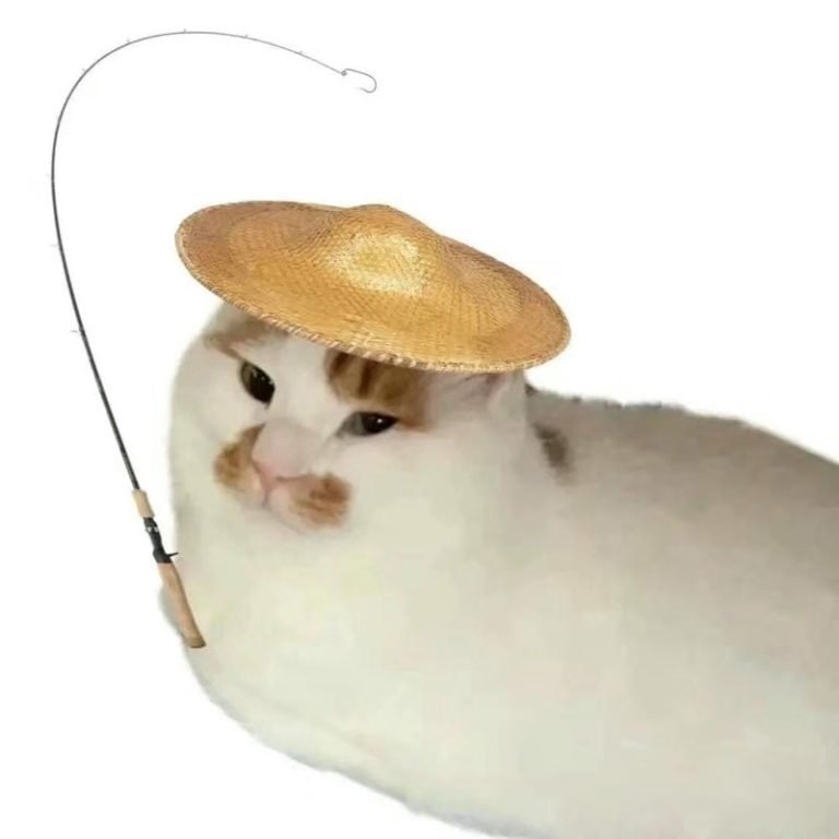 Tổng hơp 99+ hình ảnh vô tri đáng yêu, hài hước nhất