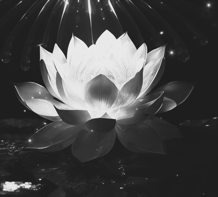 Bộ sưu tập 99+ hình ảnh những bông hoa sen đẹp nhất